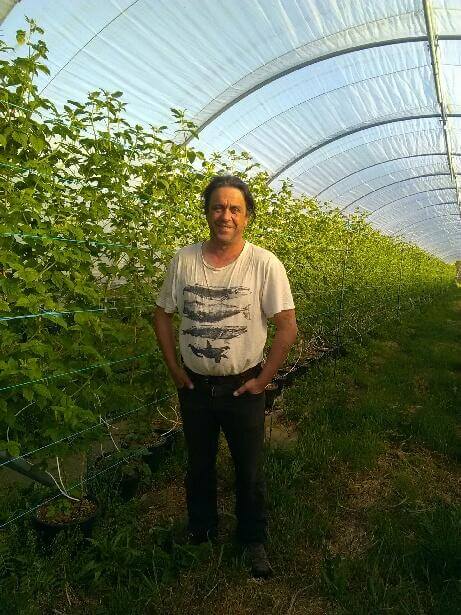 Le Velay est gourmand de ses fruits rouges ! – VelayAttractivitéTourisme