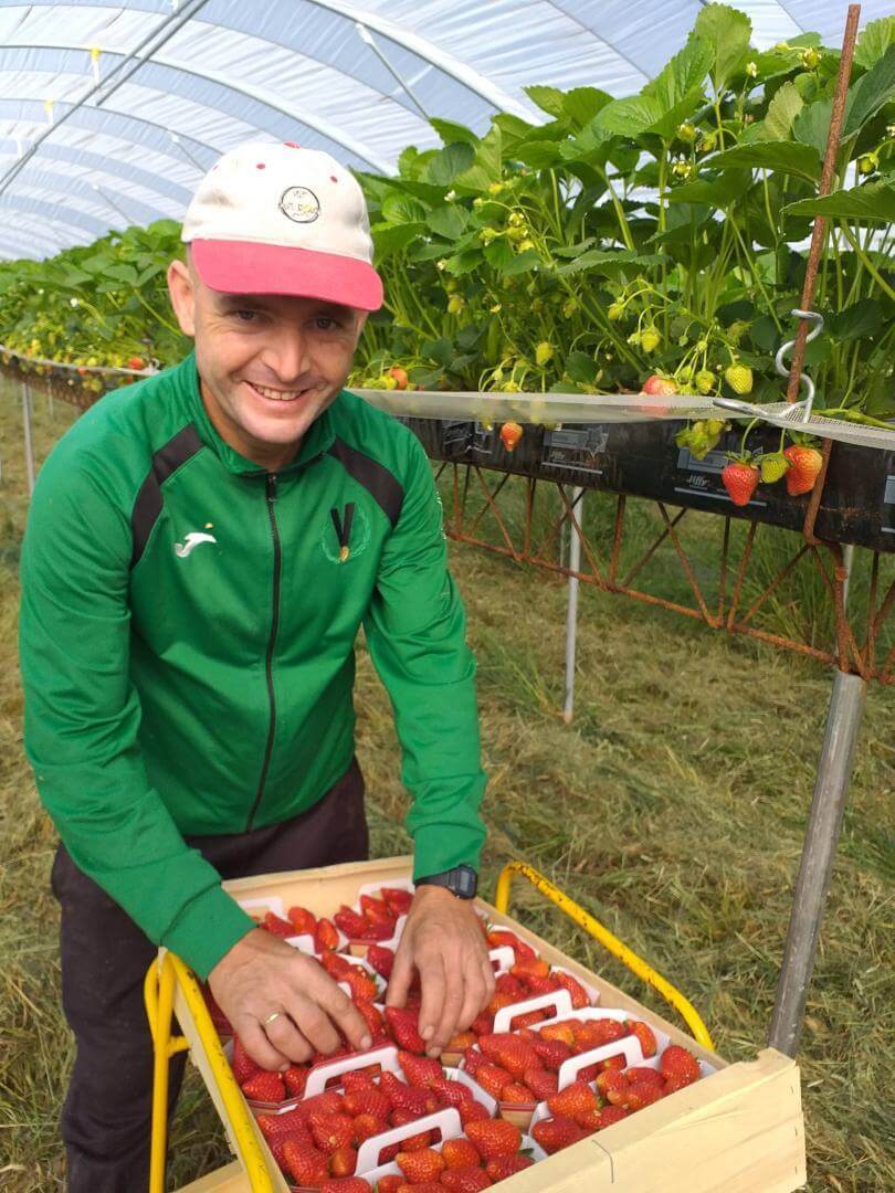 Le Velay est gourmand de ses fruits rouges ! – VelayAttractivitéTourisme