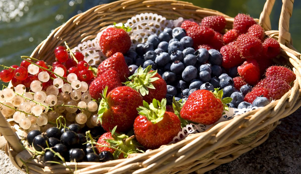 Nos produits locaux – VelayAttractivitéTourisme