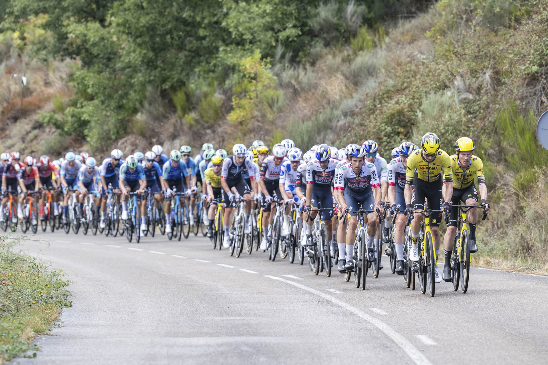 Le meilleur du cyclisme en Velay avec le Tour Auvergne Rhône-Alpes ...